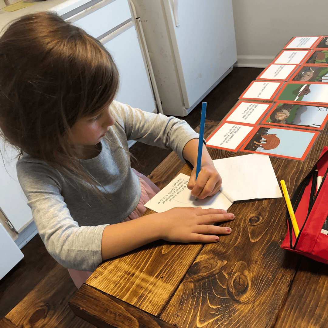 Freedom Within Limits - The Montessori Philosophy