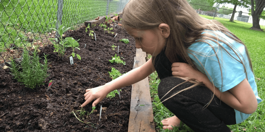 Build this Easy Composting Bin Made of Hardware Cloth - Homely Hens