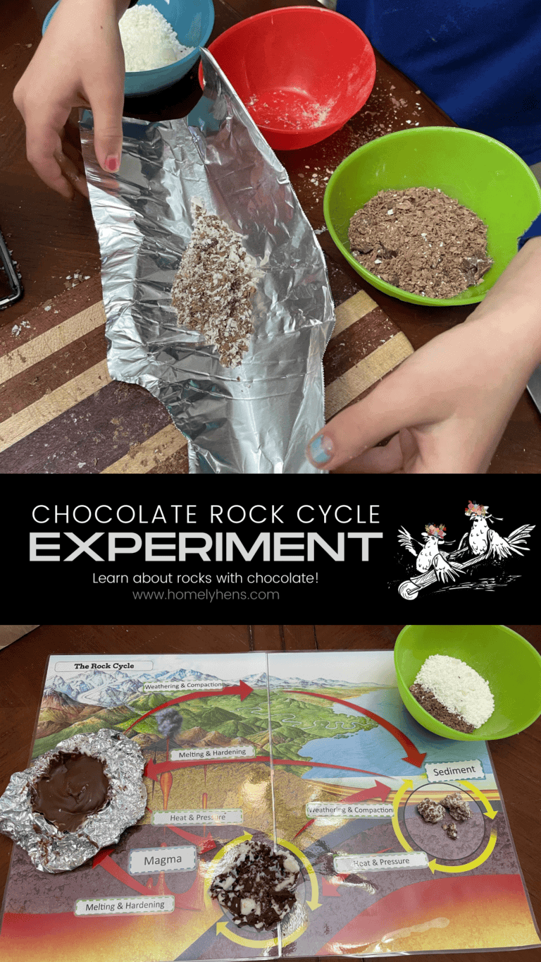 Chocolate Rock Cycle Activity for Homeschool or Classroom
