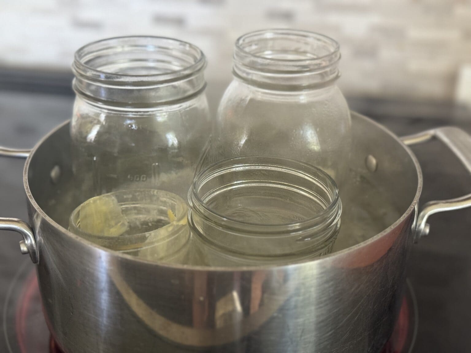 Plantain Salve Recipe: Easy DIY Guide for Natural Healing