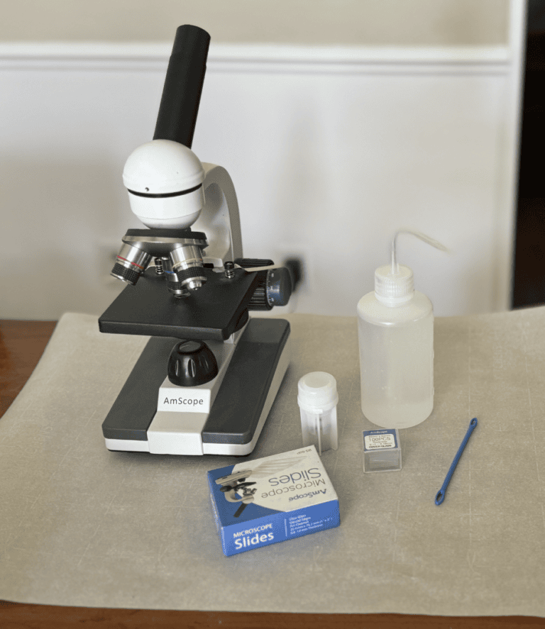 The Official Secret On How To Identify Parasites And Coccidia - Homely Hens