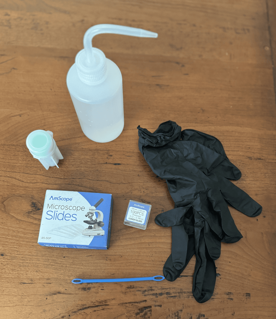The Official Secret On How To Identify Parasites And Coccidia - Homely Hens