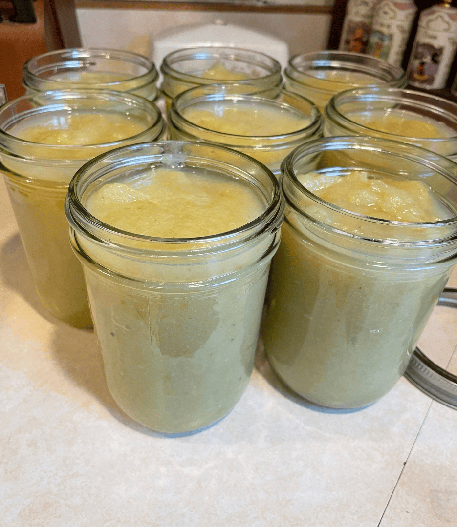 How to Make Unsweetened Applesauce (Freeze or Can It!)