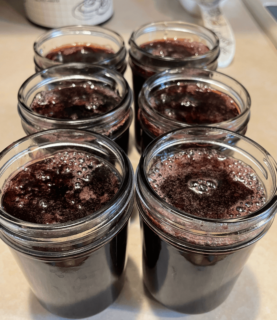 How to Rebatch Jelly That Didn't Set Properly - Homely Hens