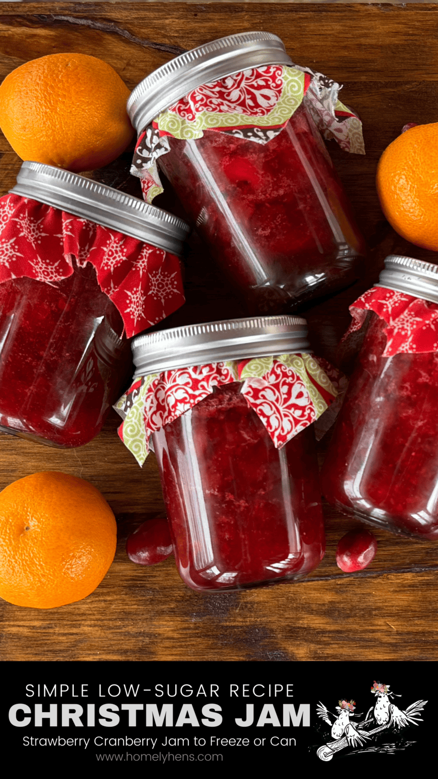Best Christmas Jam for Gifts: Festive Homemade Recipe