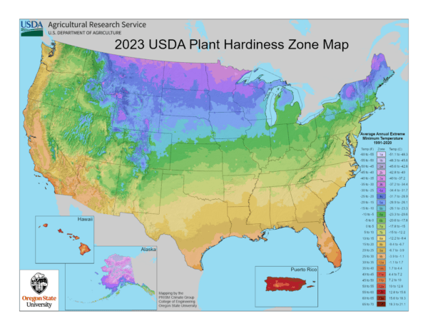 How to Start Seeds Indoors in Zone 5: Tips & Timeline Guide