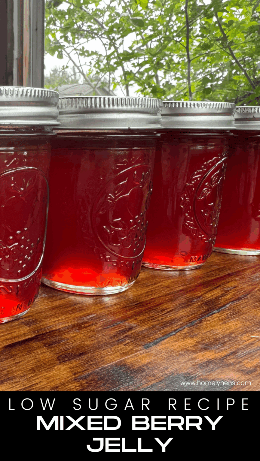 Low Sugar Mixed Berry Jelly from Juice – Easy Canning Recipe