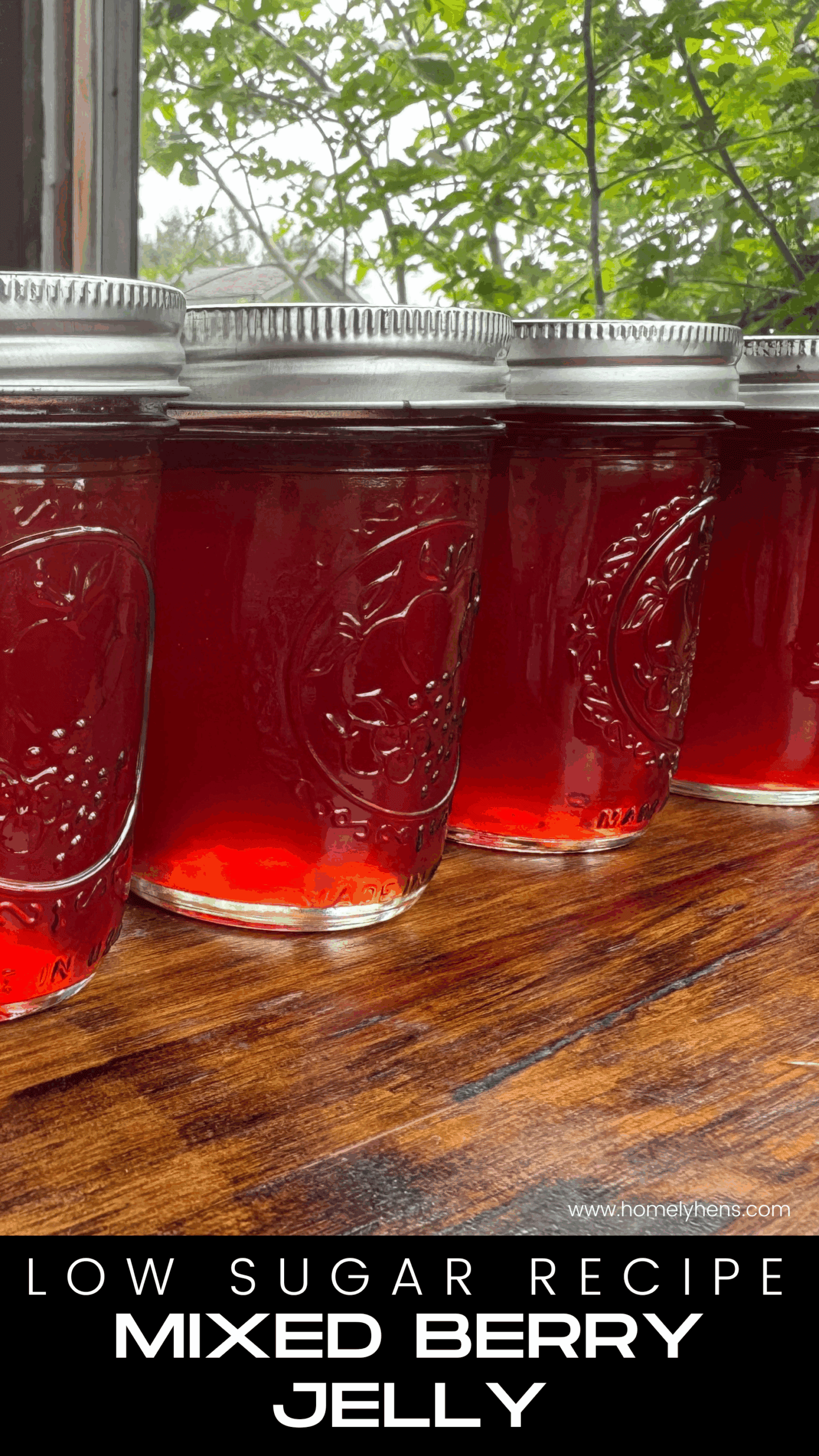 Low Sugar Mixed Berry Jelly from Juice – Easy Canning Recipe
