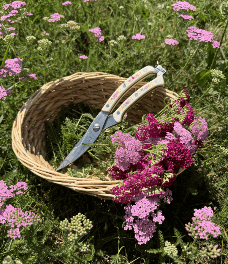 How to Dry Yarrow Flowers and Leaves - Homely Hens