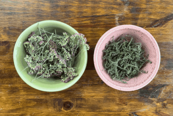 How to Dry Yarrow Flowers and Leaves - Homely Hens