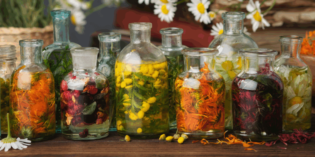 How to Make Herbal Infused Oils at Home | Natural DIY Recipes
