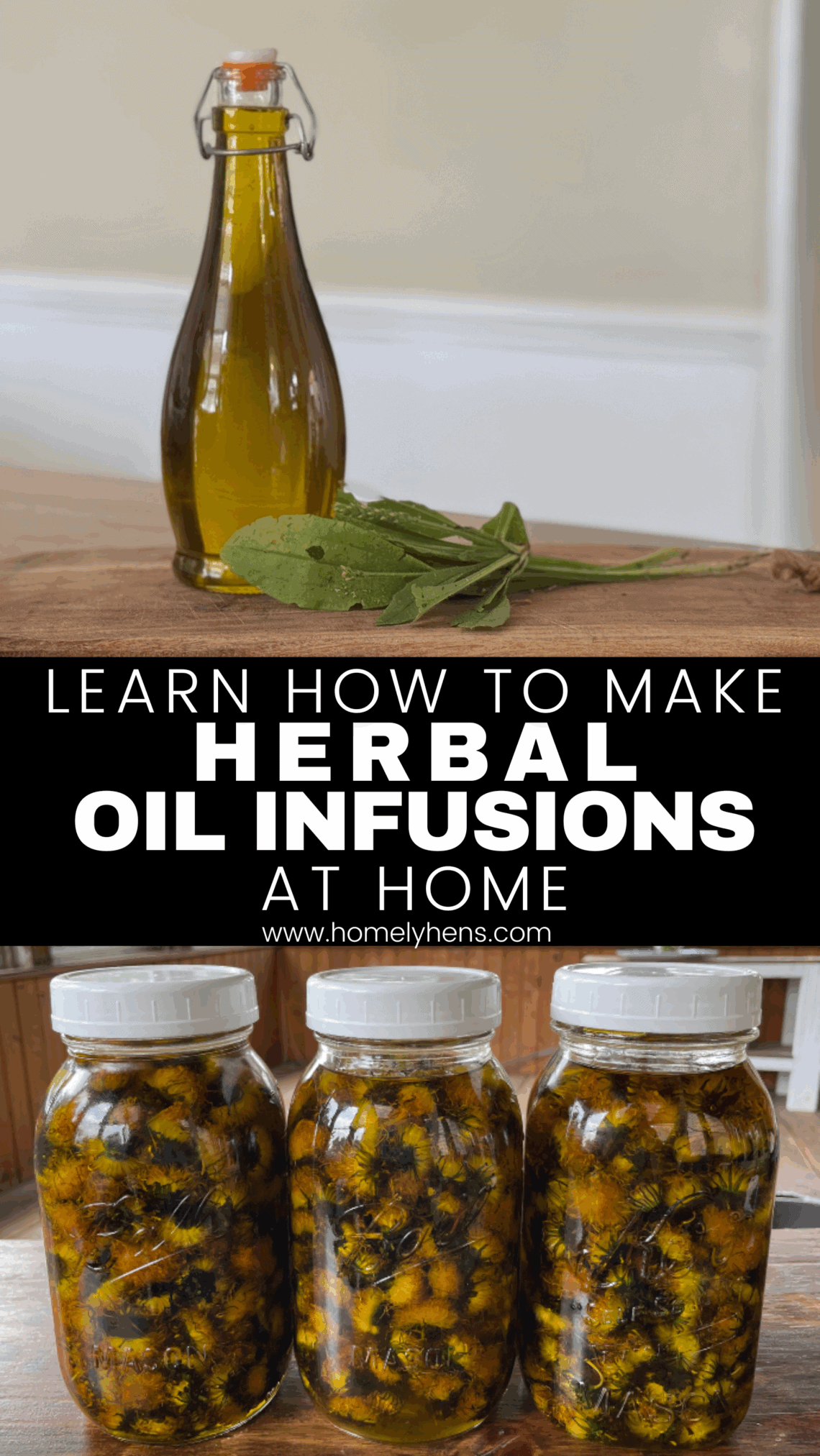 How to Make Herbal Infused Oils at Home | Natural DIY Recipes