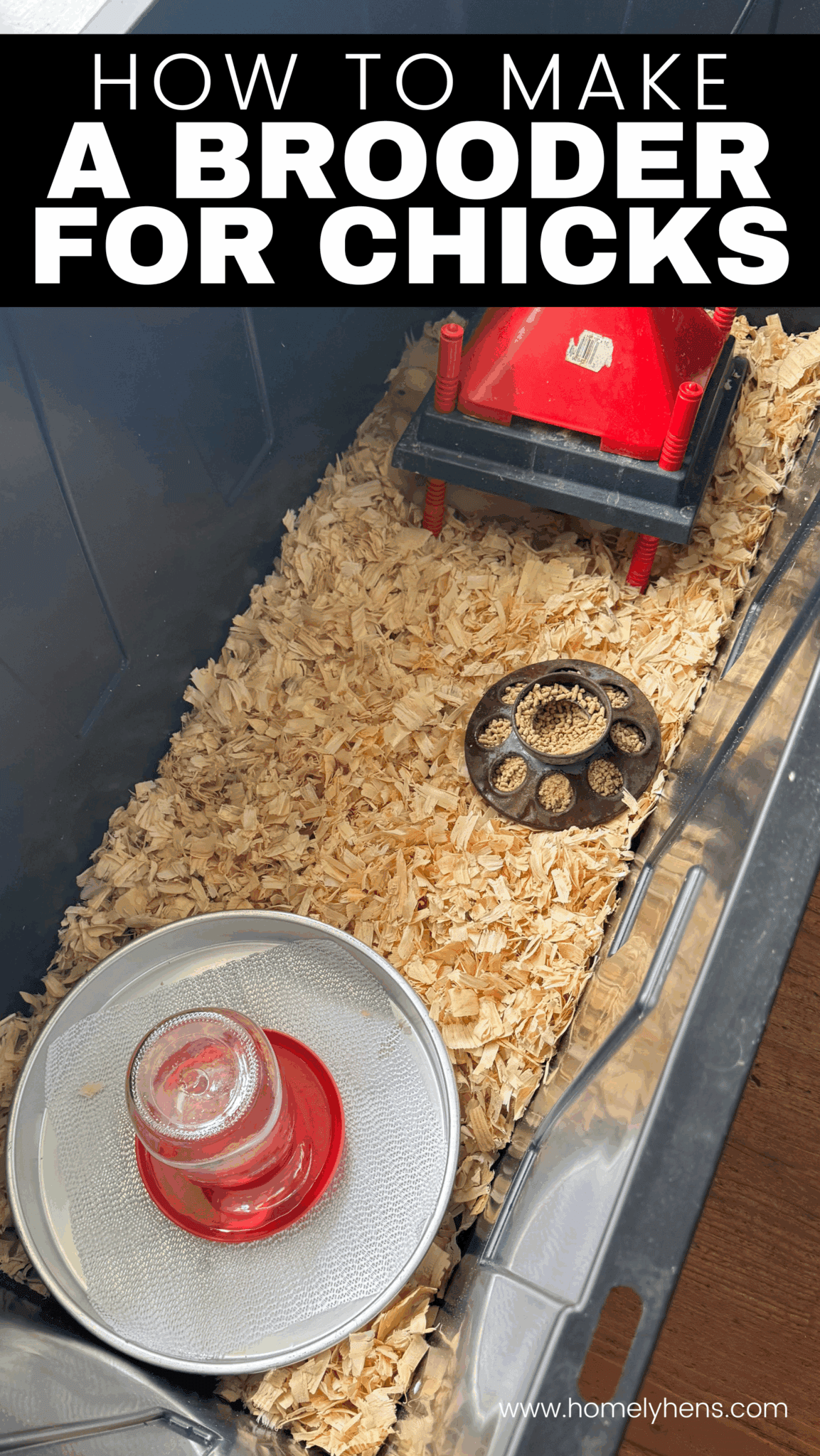How to Set up a Brooder for Meat Chicks | Homely Hens
