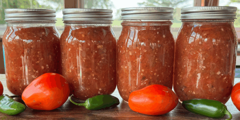 Canning Salsa with Apple Cider Vinegar – Safe Water Bath Recipe