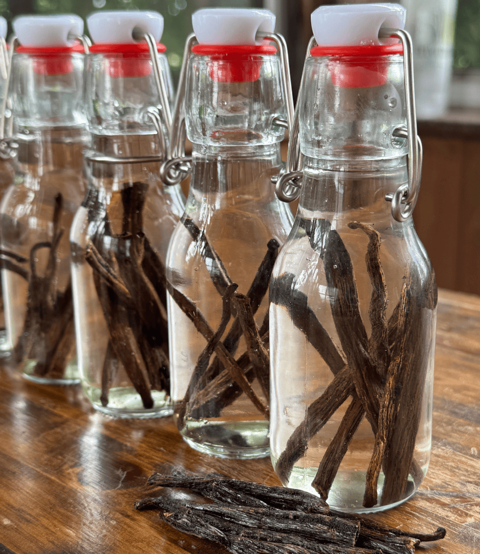 How to Make Homemade Vanilla Extract (Easy, 2 Ingredients!)