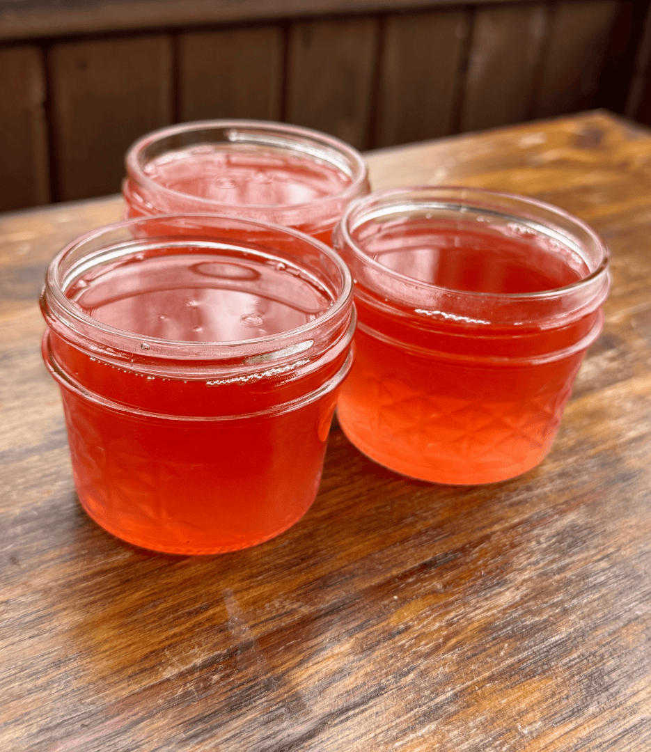 How to Make St. John's Wort Oil using Fresh Flowers - Homely Hens