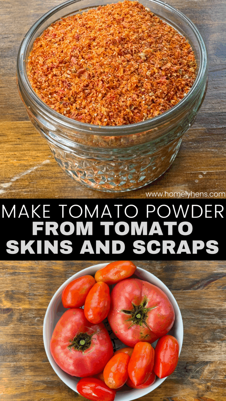 Tomato Powder from Tomato Skins | Zero-Waste Food Preservation